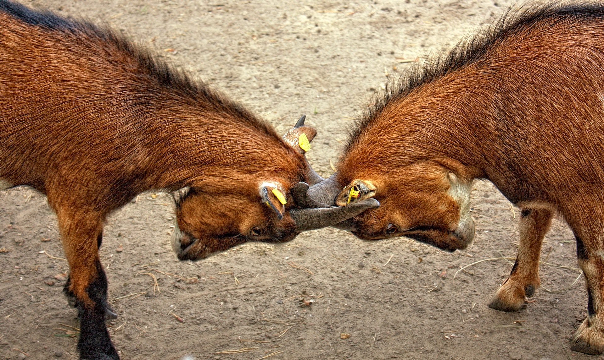 “Don’t Pick up the Rope:” Understanding Power Struggles