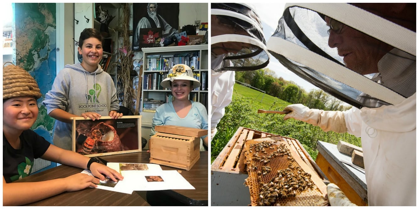 Pollinator Education